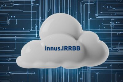 Effiziente Erfüllung der neuen IRRBB-Meldepflichten mit innus.IRRBB